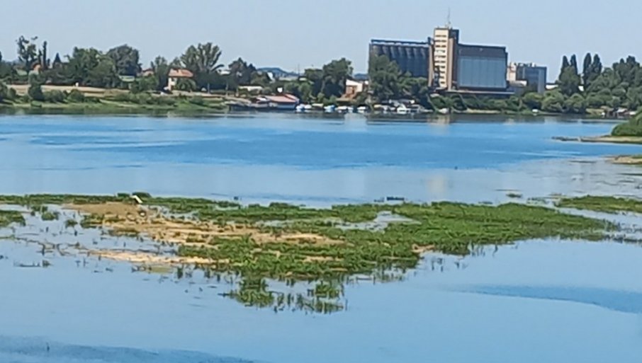 ČEKA NAS MOŽDA I NAJSUŠNIJA GODINA: Vodostaji reka u Srbiji na minimumu ...