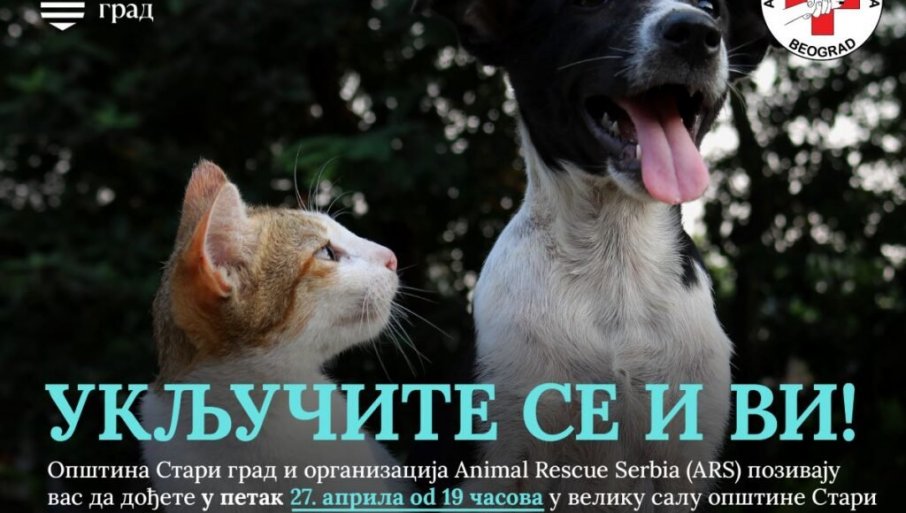 ZA BOLJI POLOŽAJ ŽIVOTINJA: GO Stari grad predstavlja plan o ...